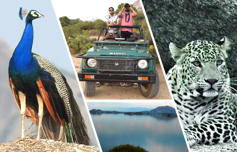 Are you Looking for an Ideal Destination to Explore Wildlife?